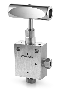 Needle Valves - IPT Series On Swagelok Company